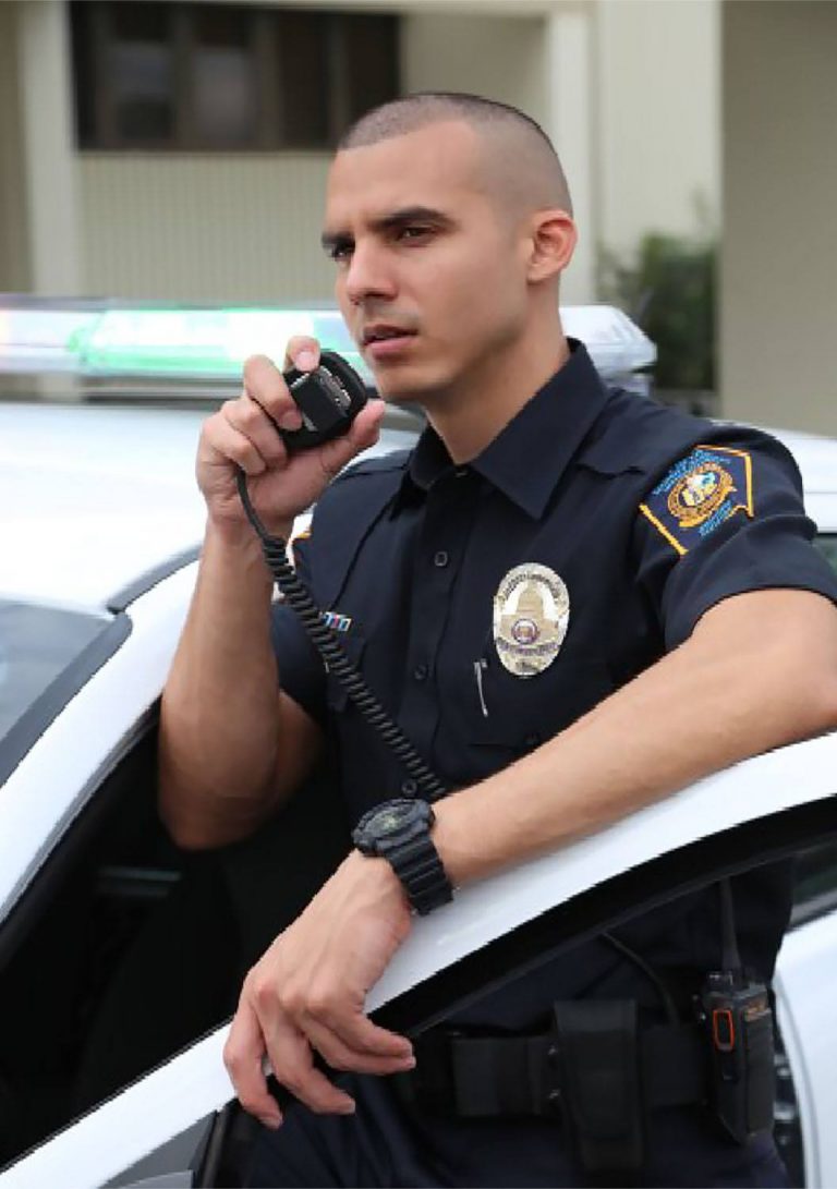 Home - Vista Security Services International